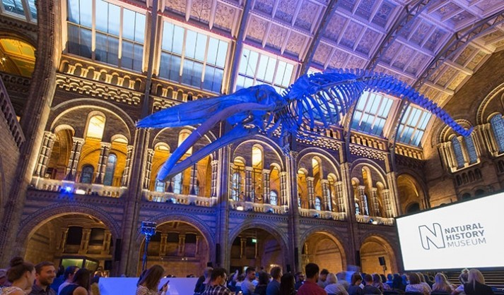 Movie Nights at the Museum | Things to do in London