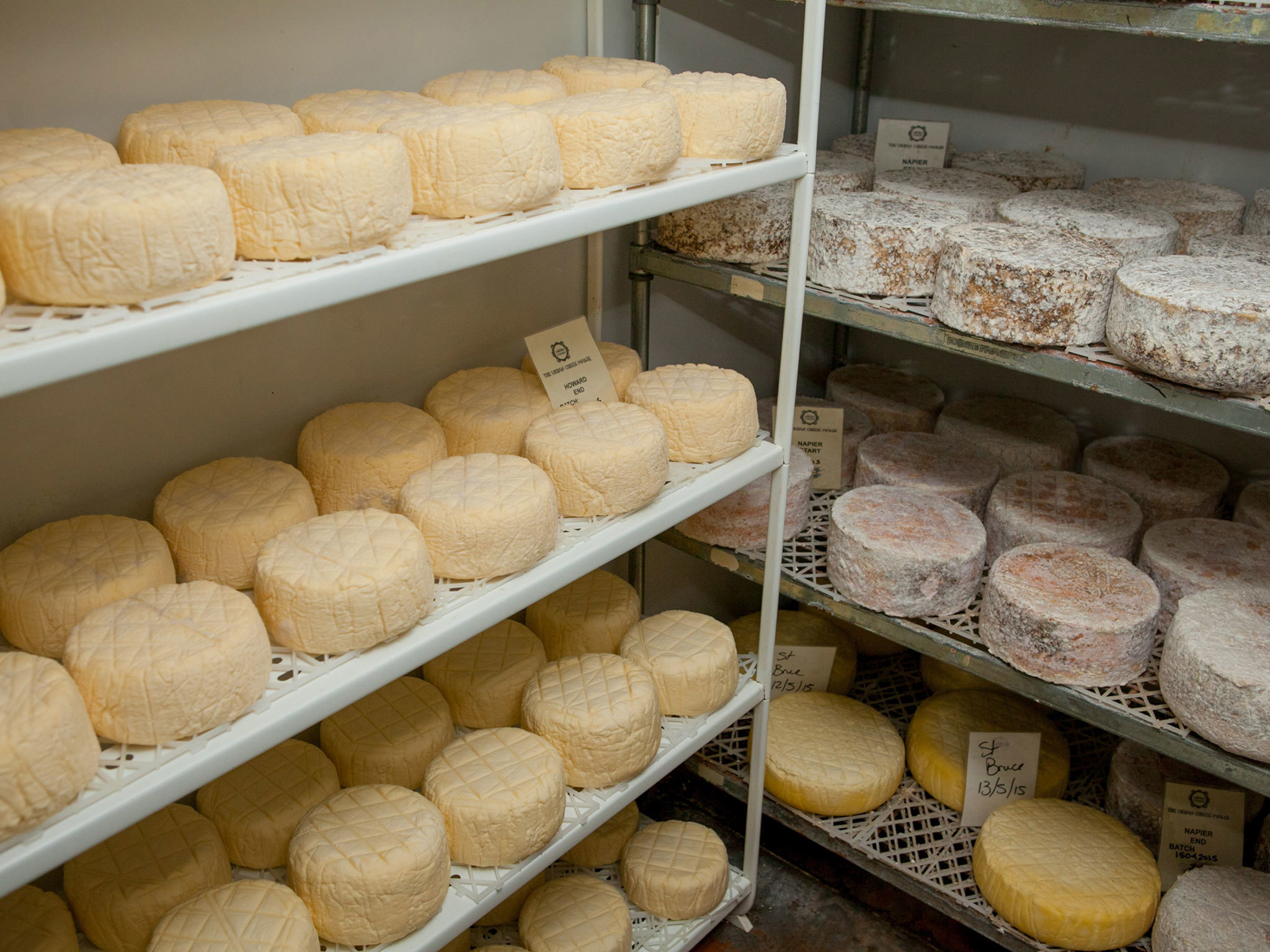 Cheesemaking workshops | Things to do in London
