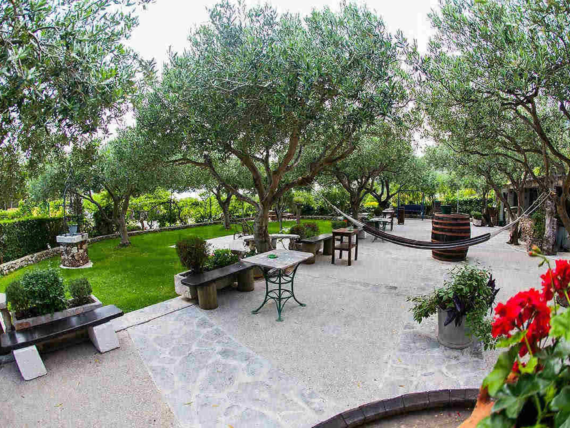 Discover the best places to eat with our Brač restaurant guide ...