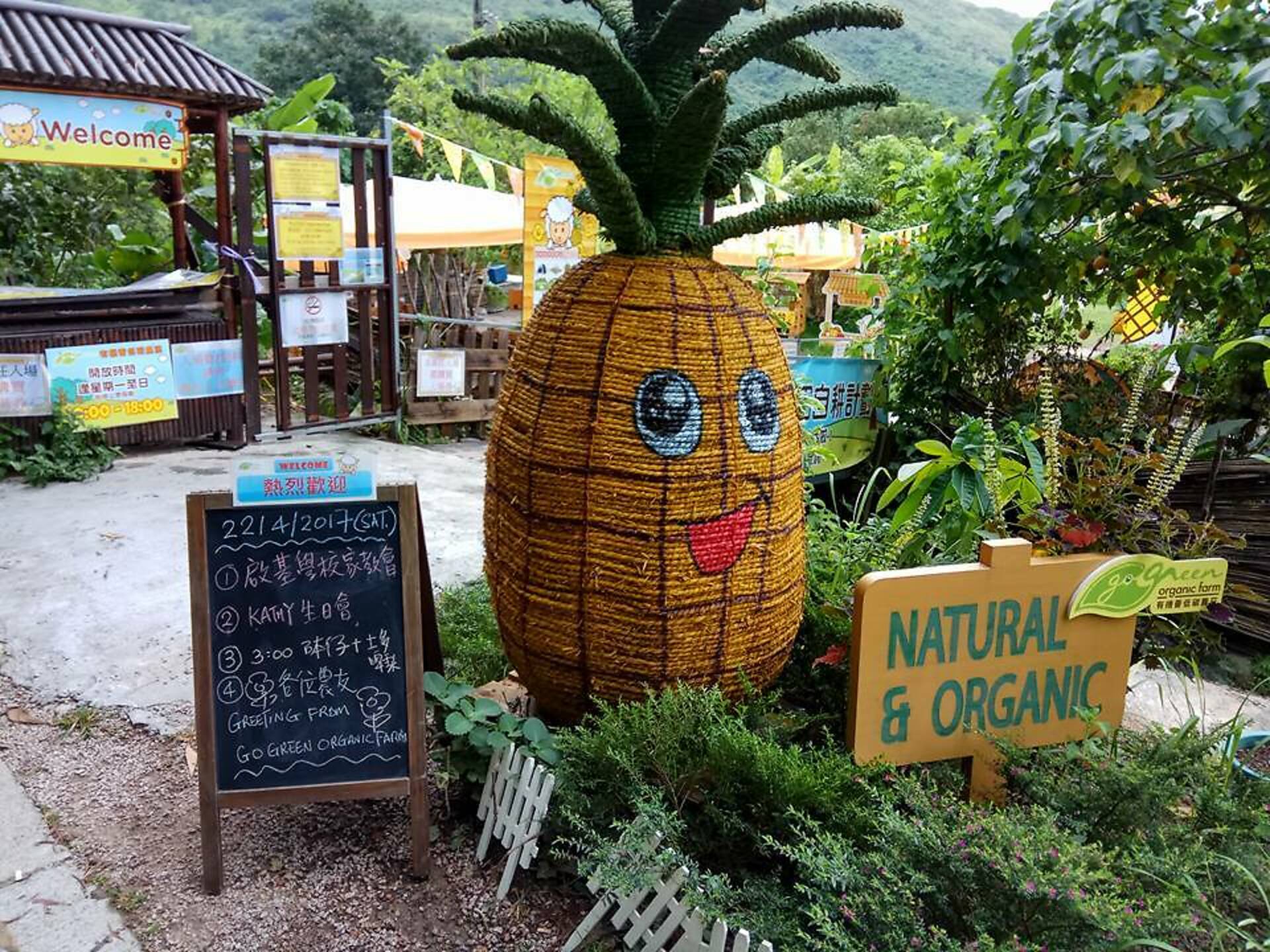 Yuen Long neighbourhood guide – Time Out