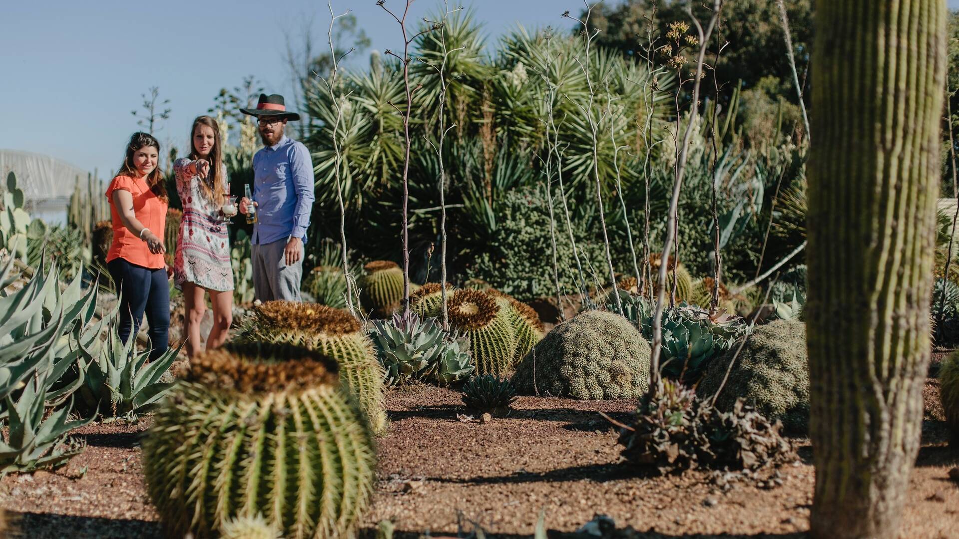 Cactus Country | Travel in Melbourne