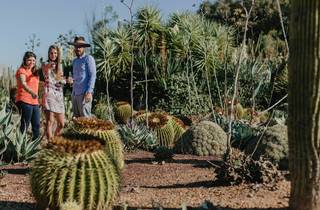 Cactus Country | Travel in Melbourne