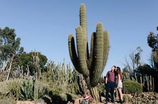 Cactus Country | Travel in Melbourne