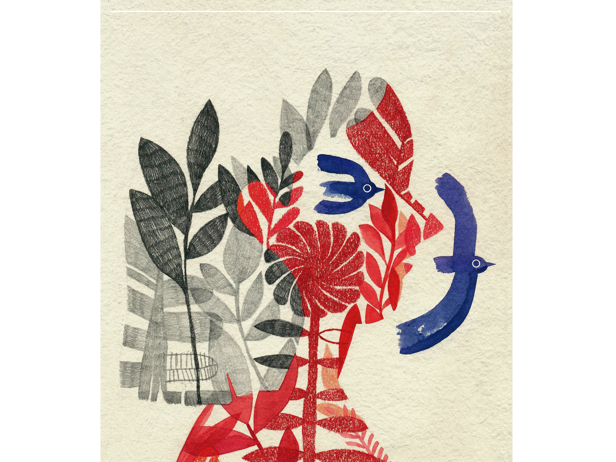 Empoderamiento femenino en voz de 5 ilustradoras