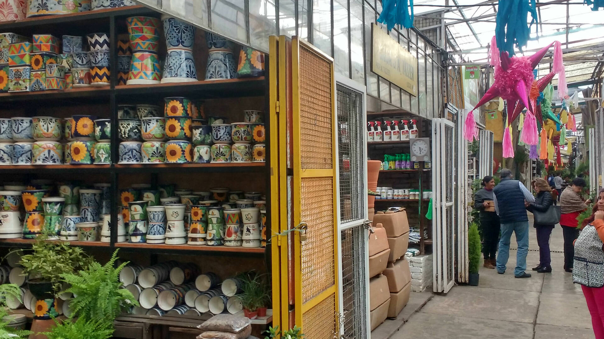 Viveros de Coyoacán | Things to do in Del Carmen, Mexico City