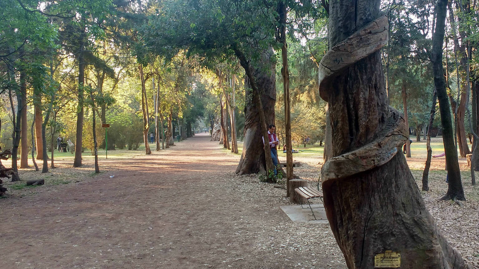 Viveros de Coyoacán