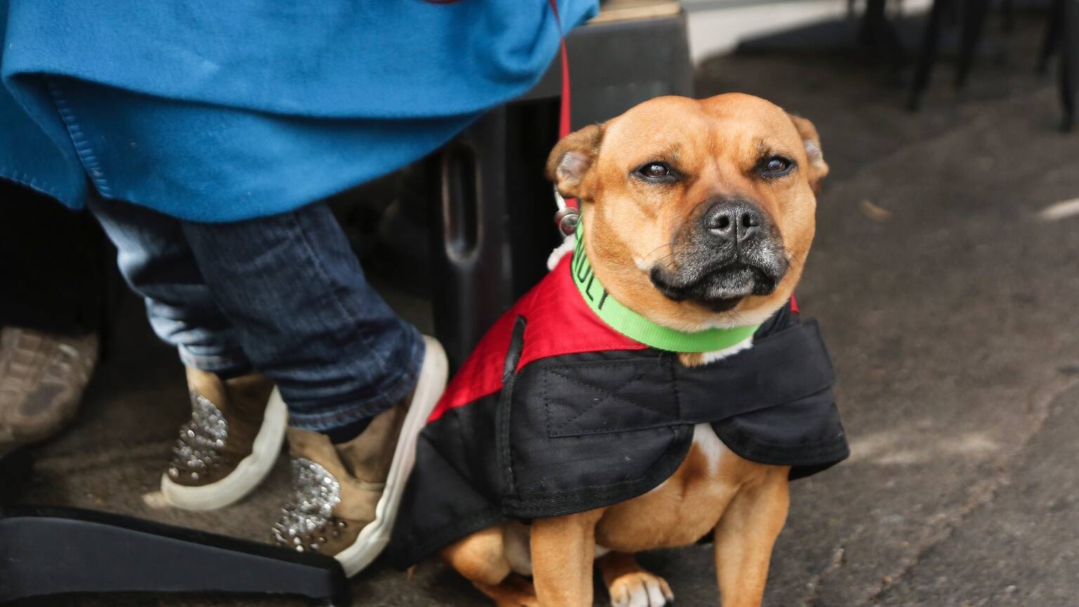 The Little Kitchen | Restaurants in Coogee, Sydney