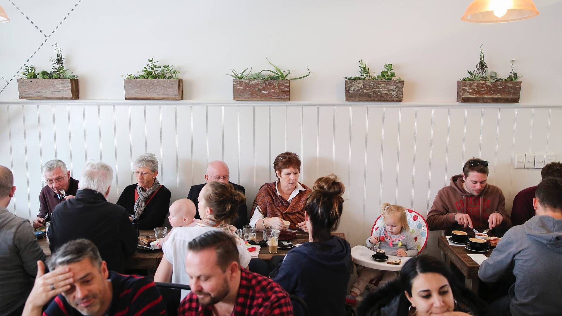 The Little Kitchen | Restaurants in Coogee, Sydney