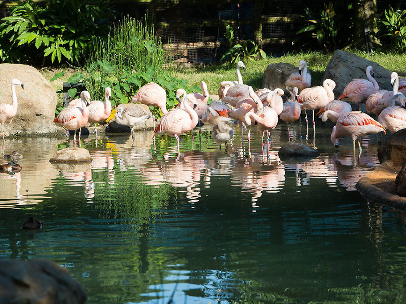 30 Best Zoos in the US For Every Kind of Wildlife Sighting