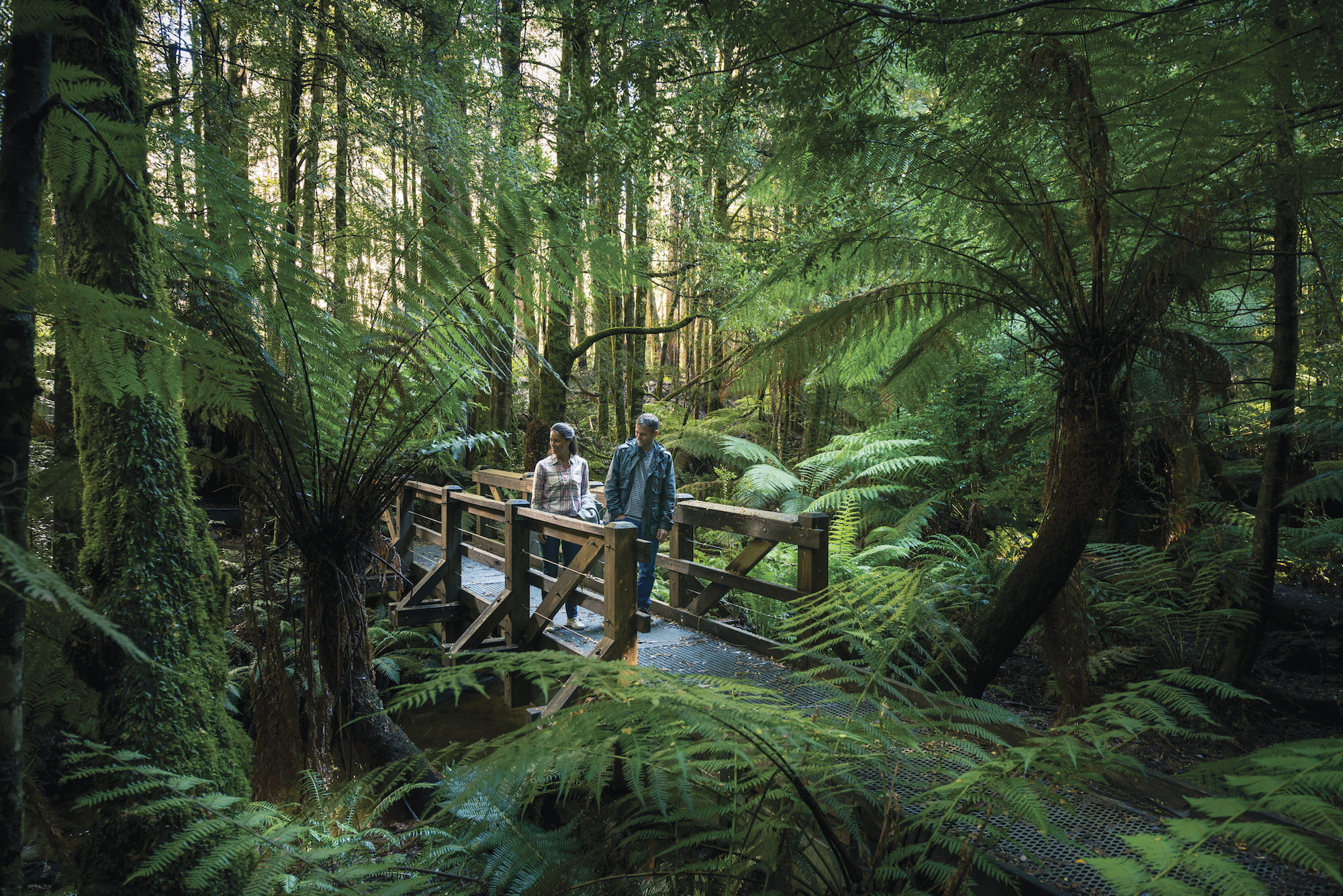 The best campsites in regional Victoria