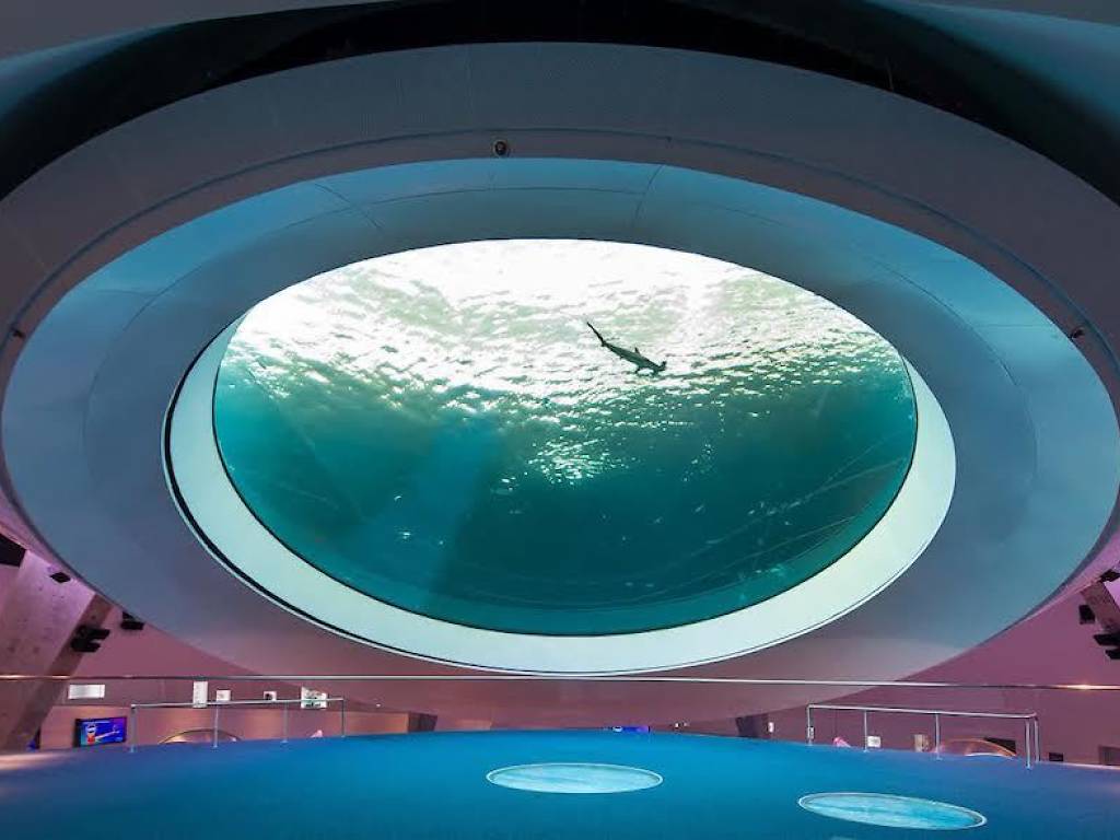 17 Best Museums in Miami for World-Class Art Exhibitions