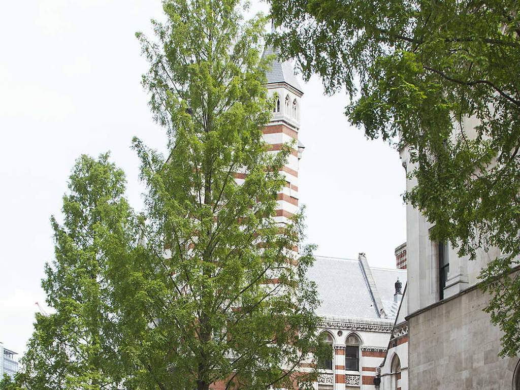 9 beautiful London street trees you have to see