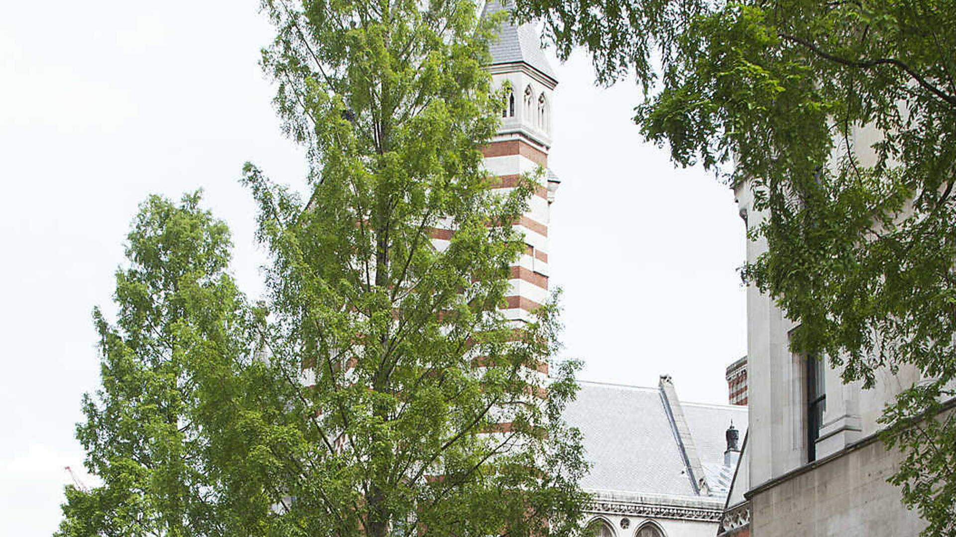 9 beautiful London street trees you have to see