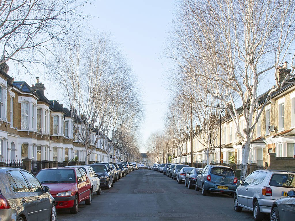 9 beautiful London street trees you have to see