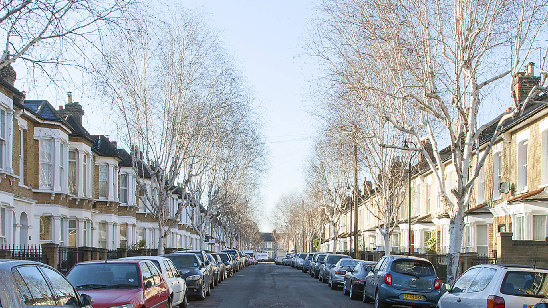 9 beautiful London street trees you have to see