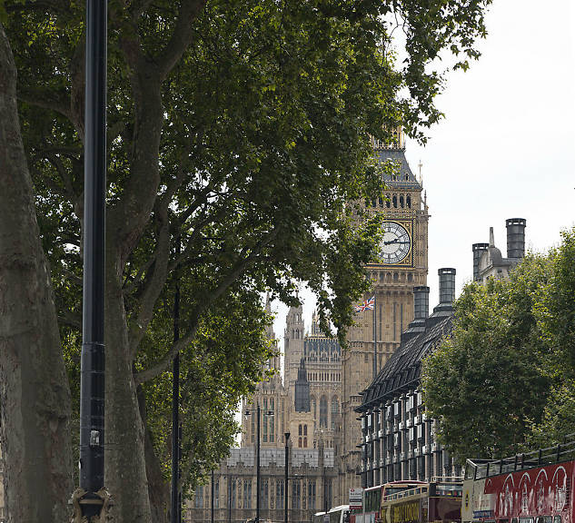 9 beautiful London street trees you have to see