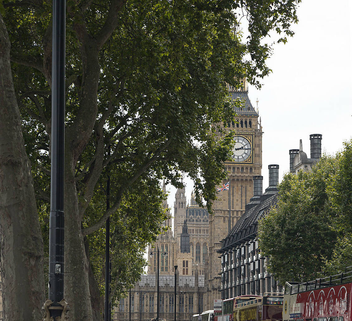 9 beautiful London street trees you have to see
