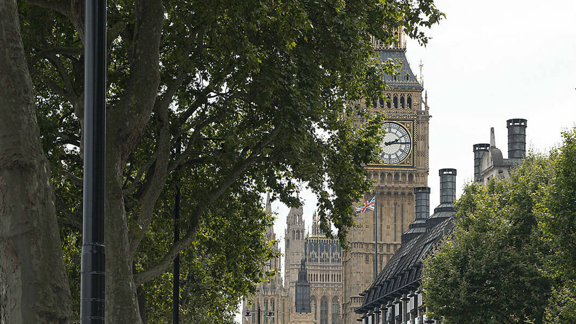 9 beautiful London street trees you have to see