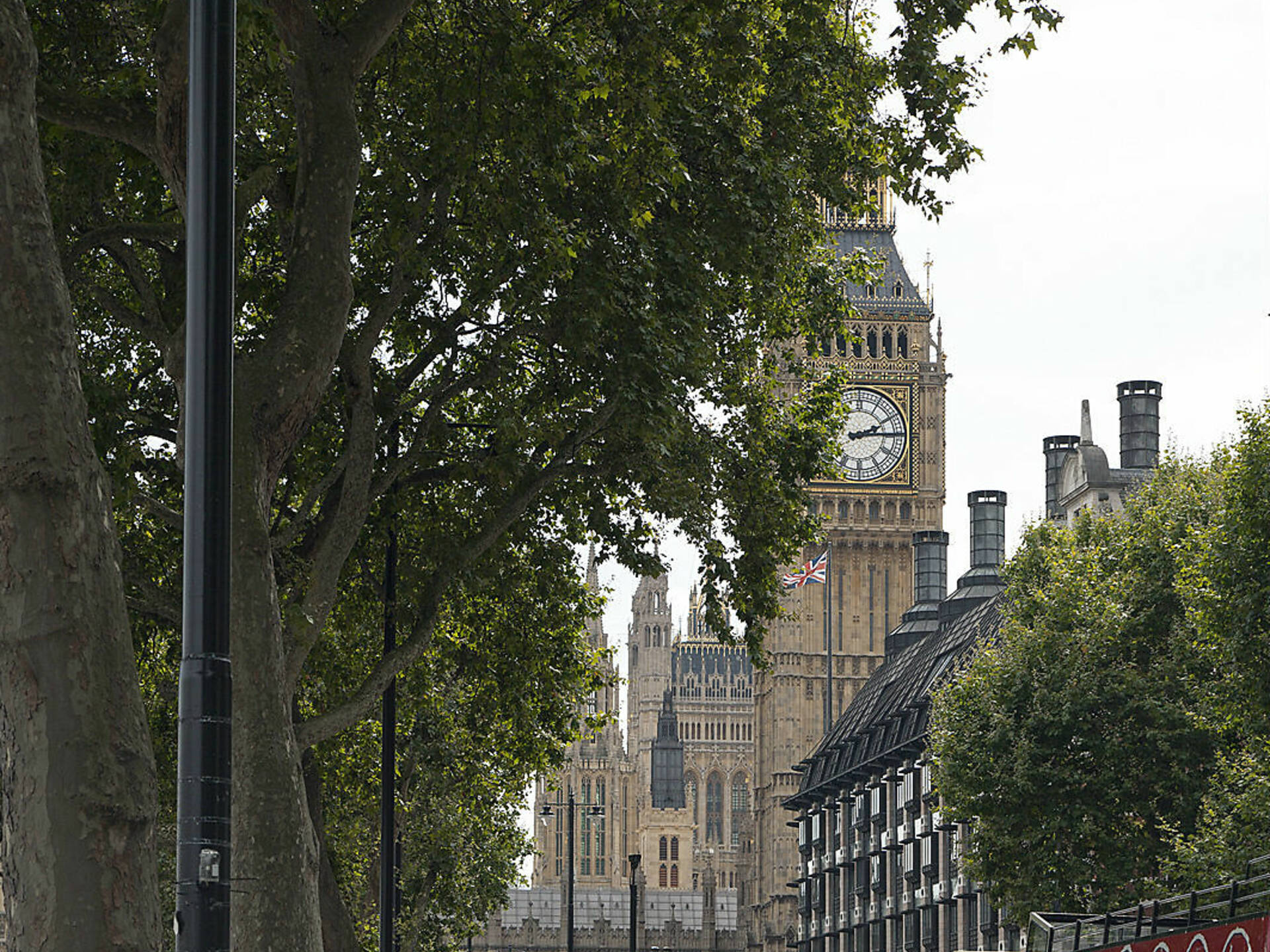 9 beautiful London street trees you have to see
