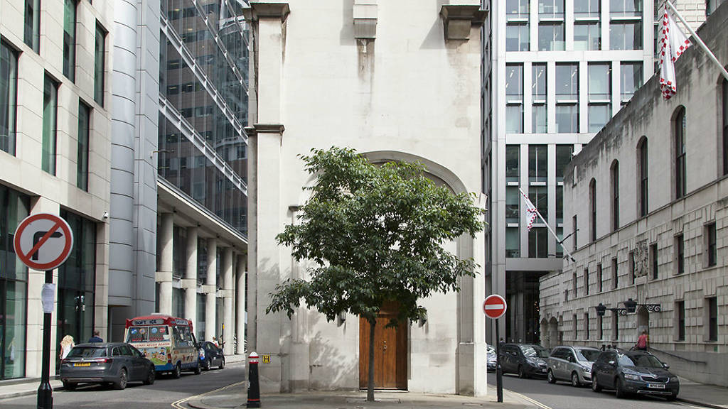 9 beautiful London street trees you have to see