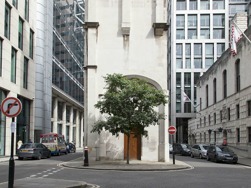 9 beautiful London street trees you have to see