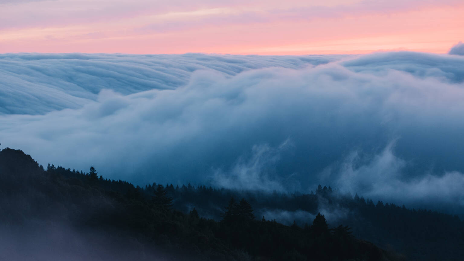 20 Best Things to Do in the Bay Area