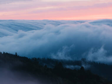 20 Best Things to Do in the Bay Area