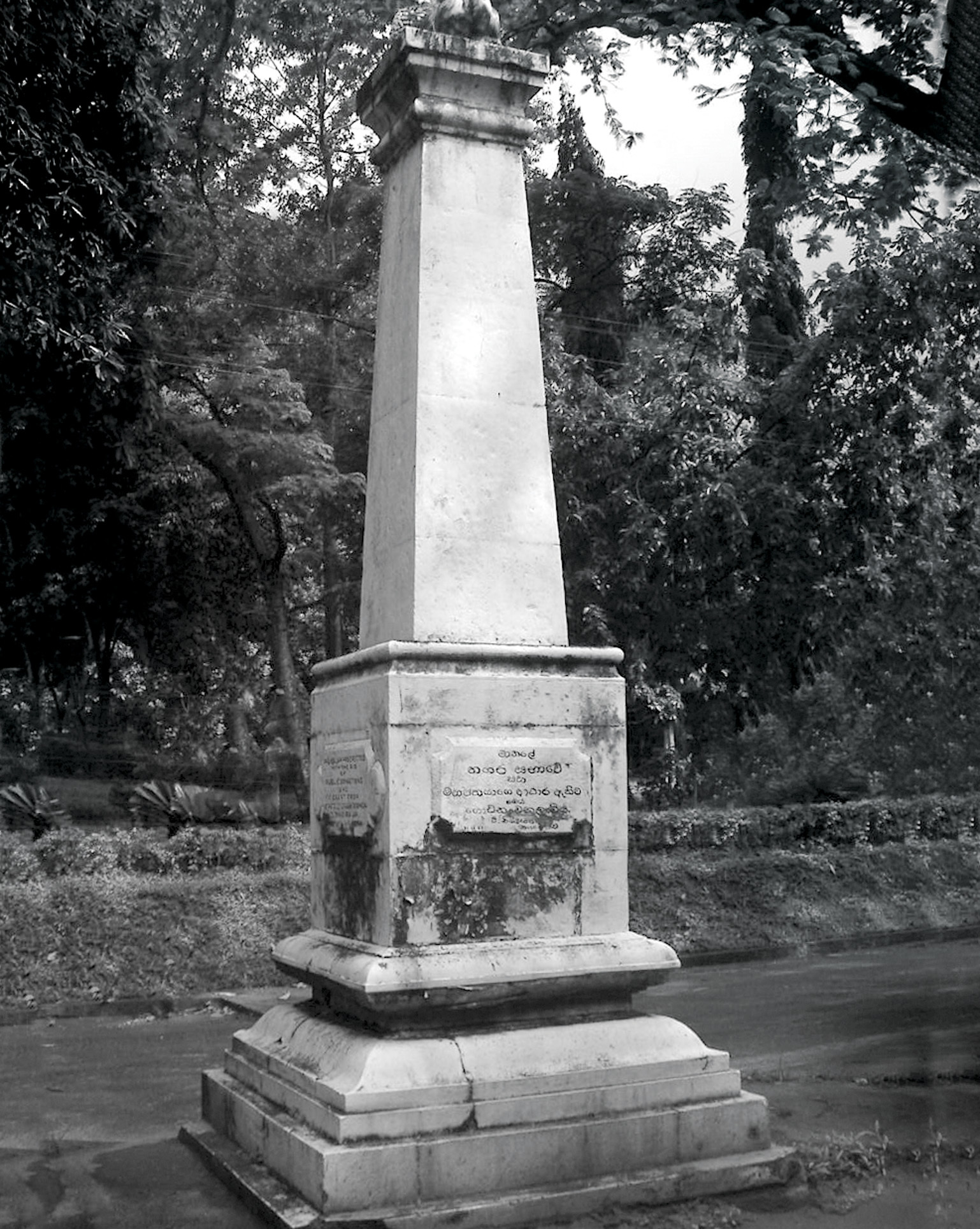 Memories of a resilient past