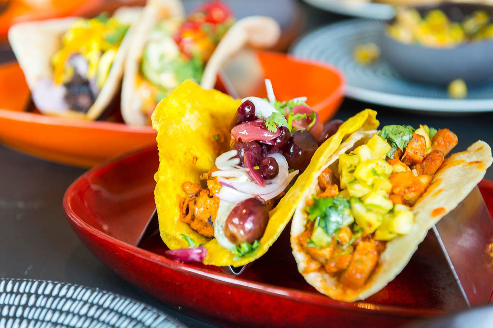 Austin Taco Project | Restaurants in Convention Center District, Austin