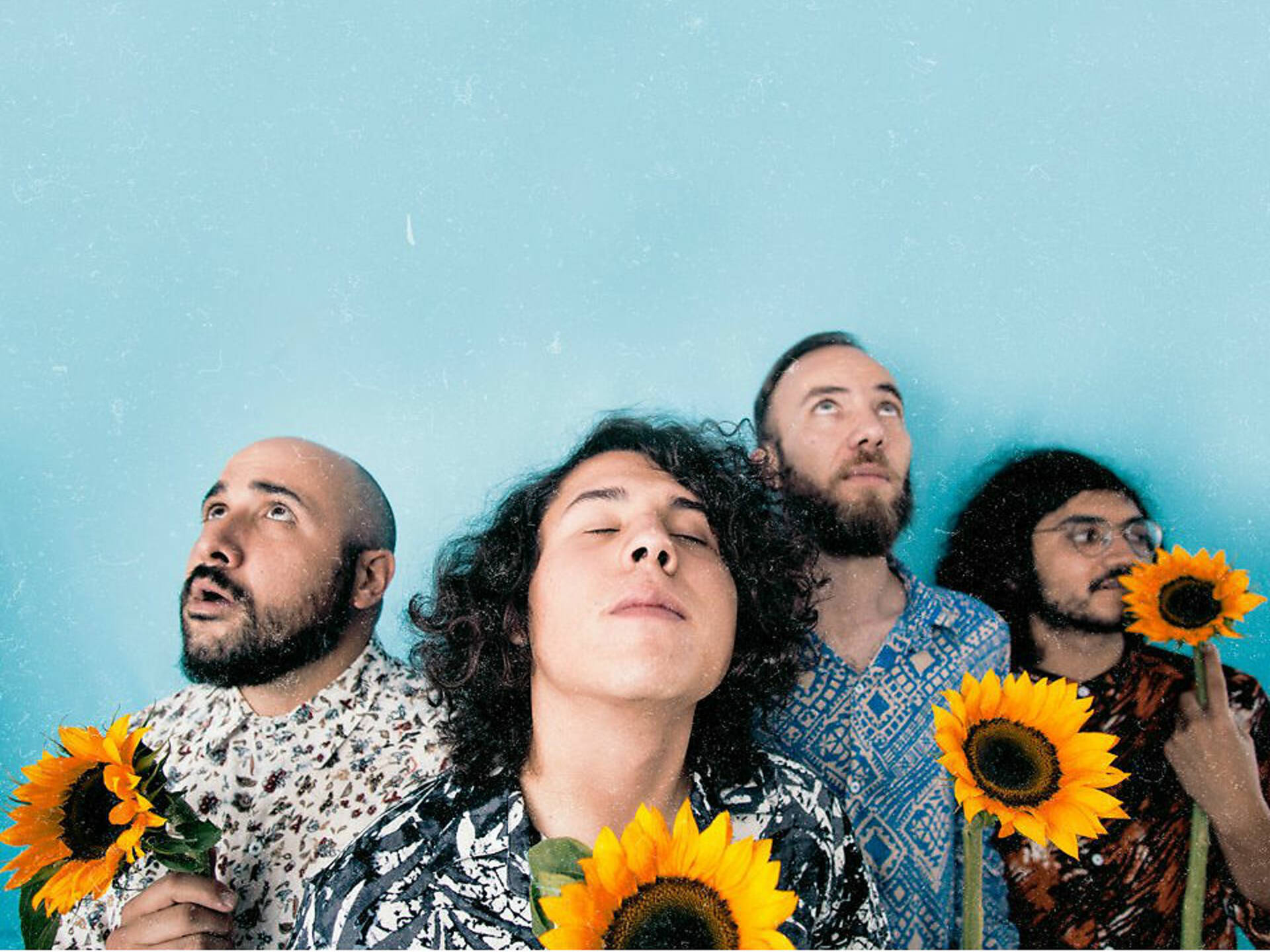 10 bandas del norte de México