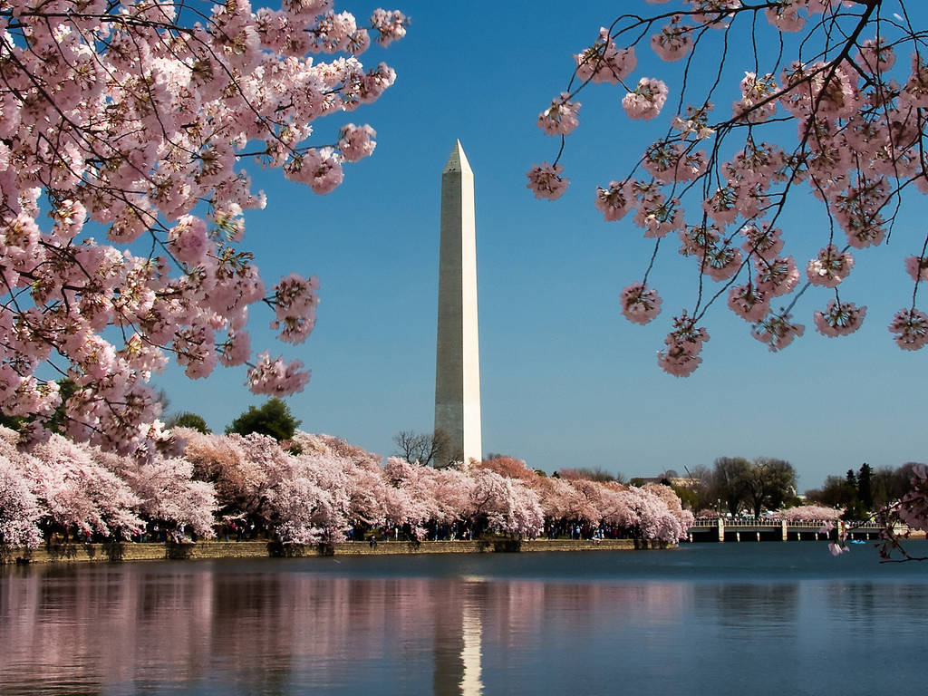 Baltimore, Maryland 2026 | Ultimate Guide To Where To Go, Eat & Sleep ...