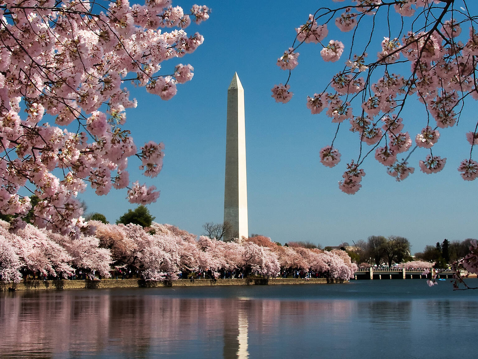 Norfolk, Virginia 2025 | Ultimate Guide To Where To Go, Eat & Sleep in ...