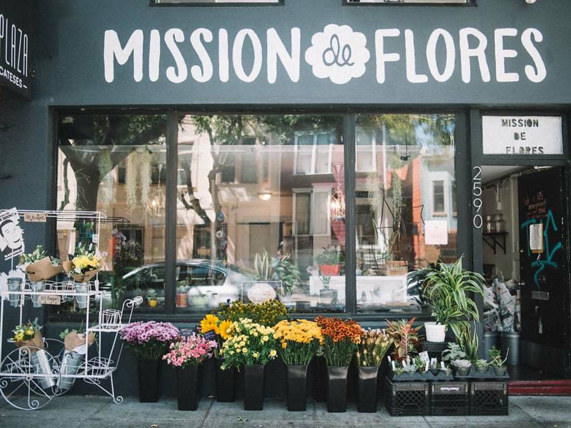 10 Best Florists in San Francisco for Fresh Bouquets or Delivery