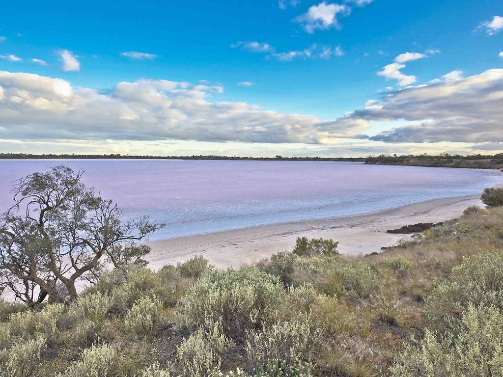 Where to find Victoria’s pink lakes | Pink lake Melbourne