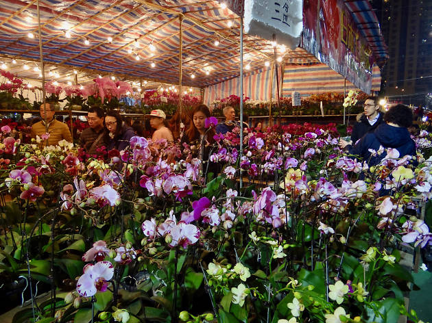 The best things we saw at Hong Kong’s Chinese New Year flower market