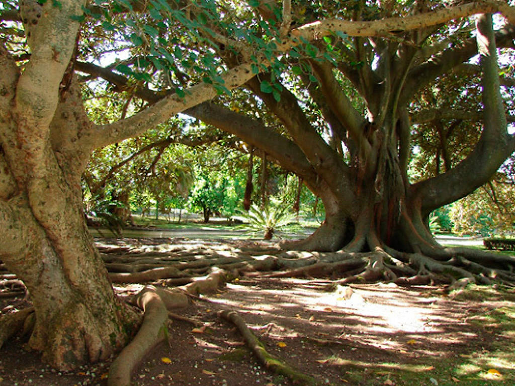 Lisbon’s public gardens and parks for a day out in the city