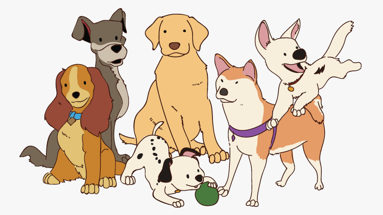 The best films about dogs