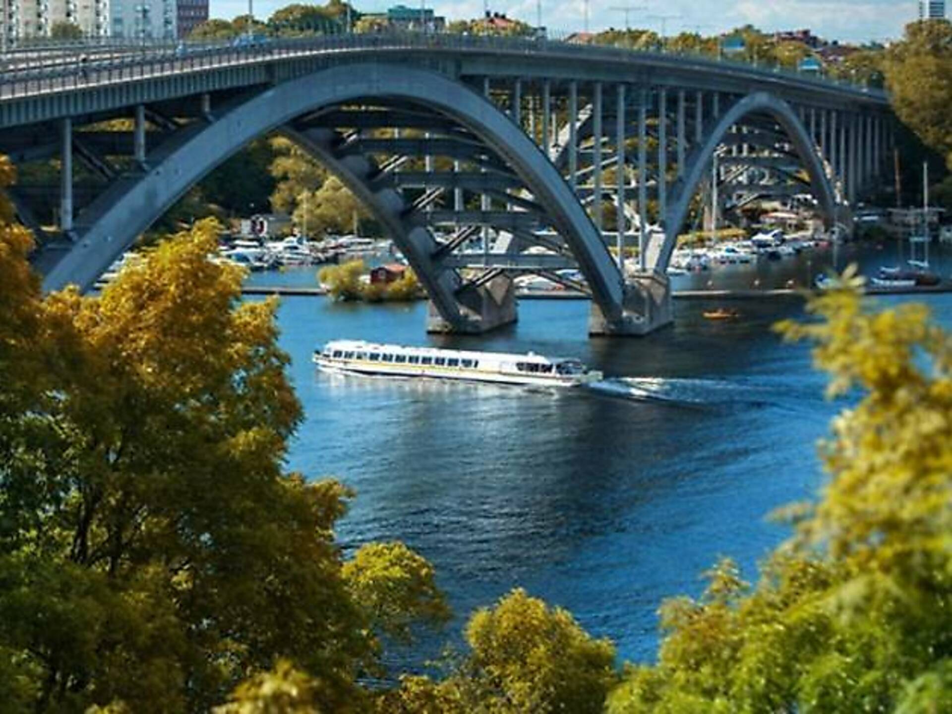 18 Superb Stockholm Tours that Show the Best of the City