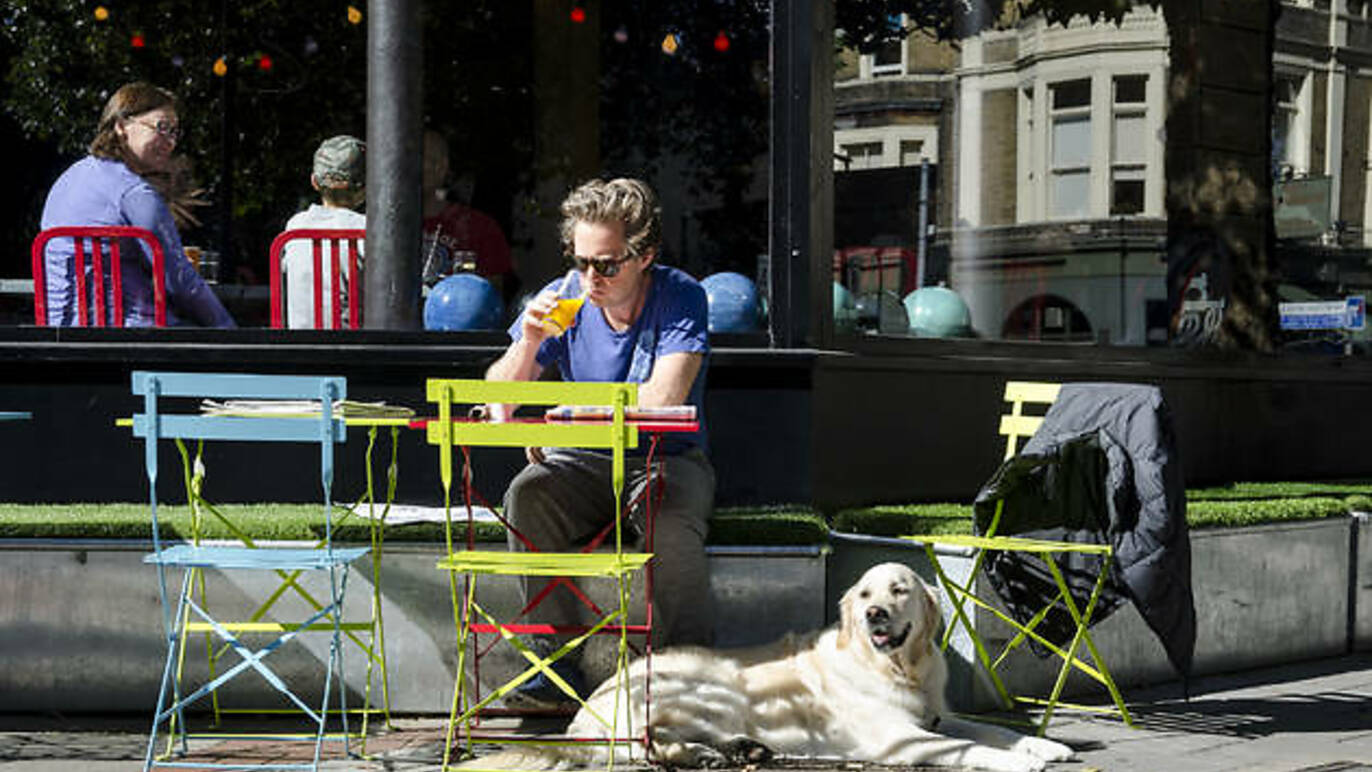 11 things to do in London if you're completely obsessed with dogs