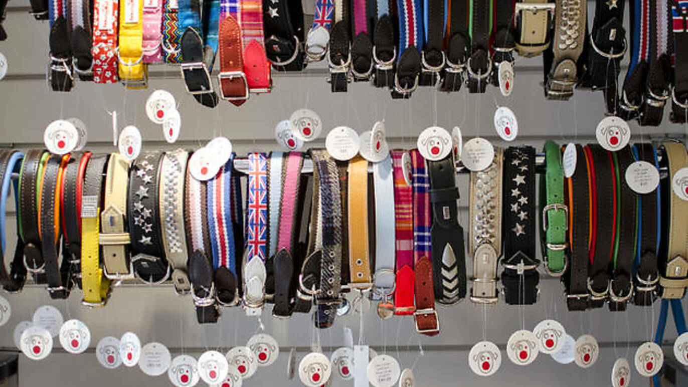 11 things to do in London if you're completely obsessed with dogs