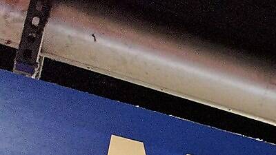 20 Travel Tips Every First Time Hamburg Visitor Needs to Know