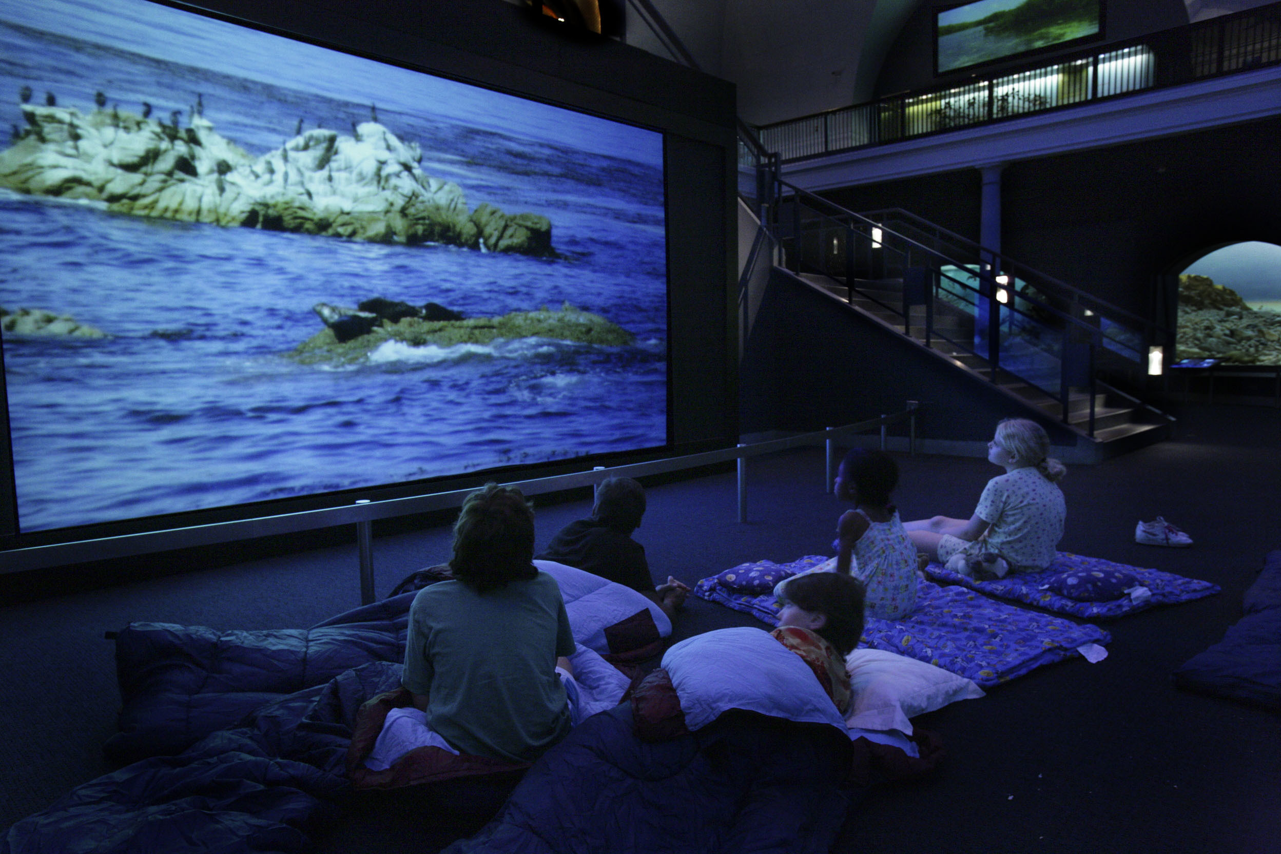 6 Best Museum Sleepovers in NYC for Kids