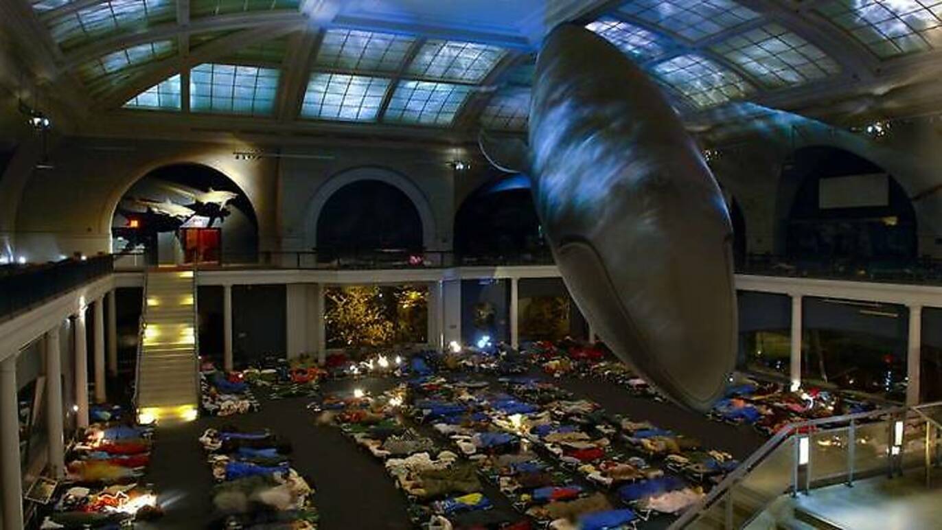 6 Best Museum Sleepovers in NYC for Kids