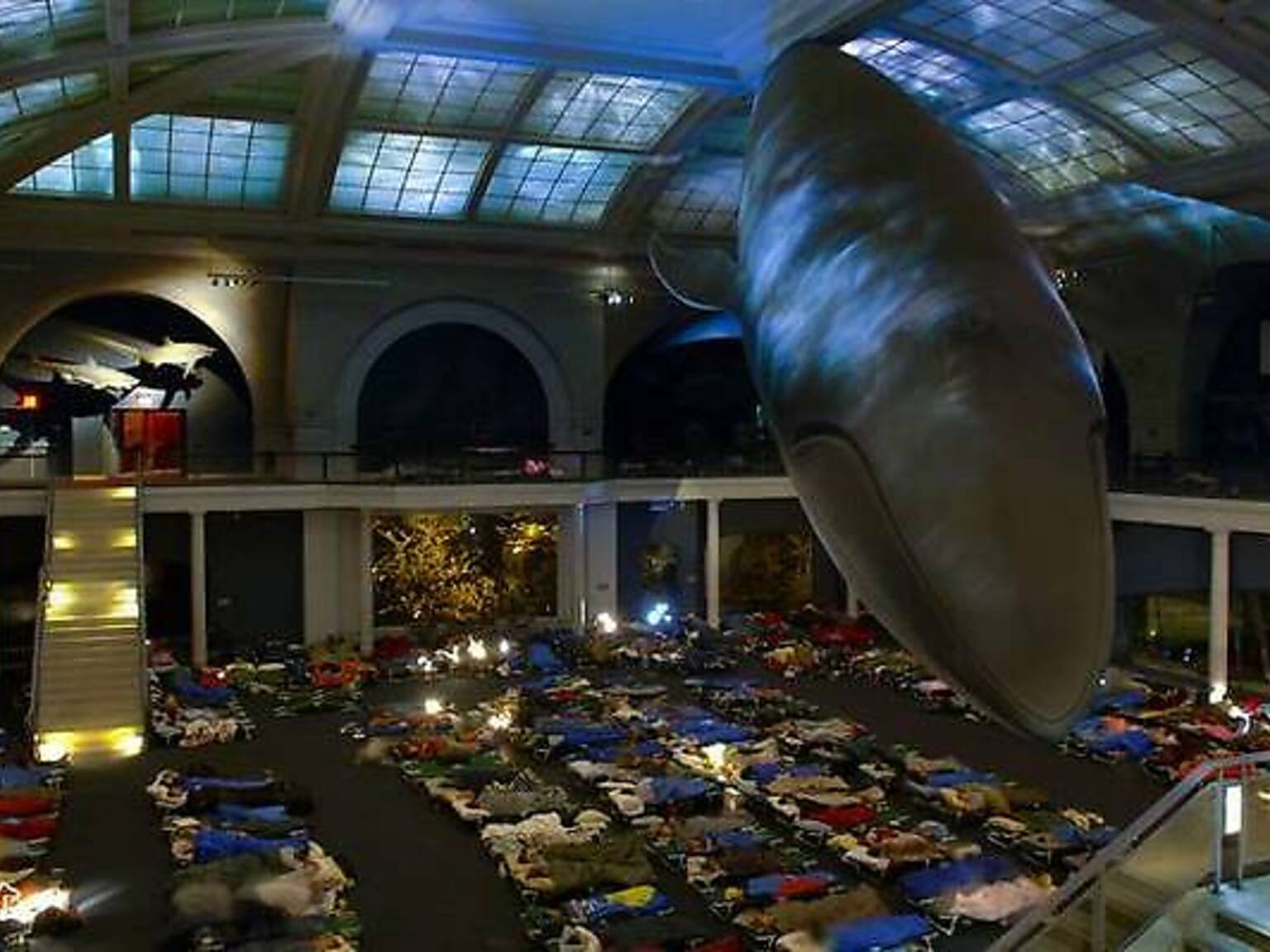 6 Best Museum Sleepovers in NYC for Kids