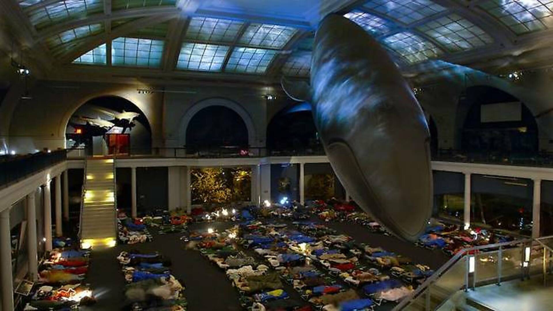 6 Best Museum Sleepovers in NYC for Kids