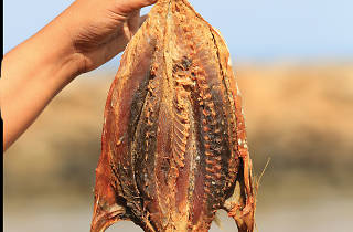 Salty Karawala and Umbalakada in Hikkaduwa