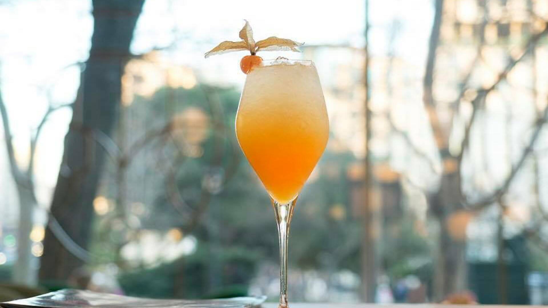 Garra Bar | Bars and pubs in Centro, Madrid