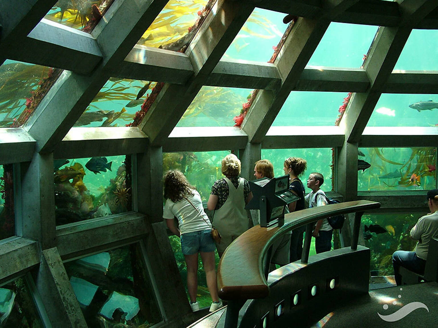 15 Must-Visit Seattle Attractions