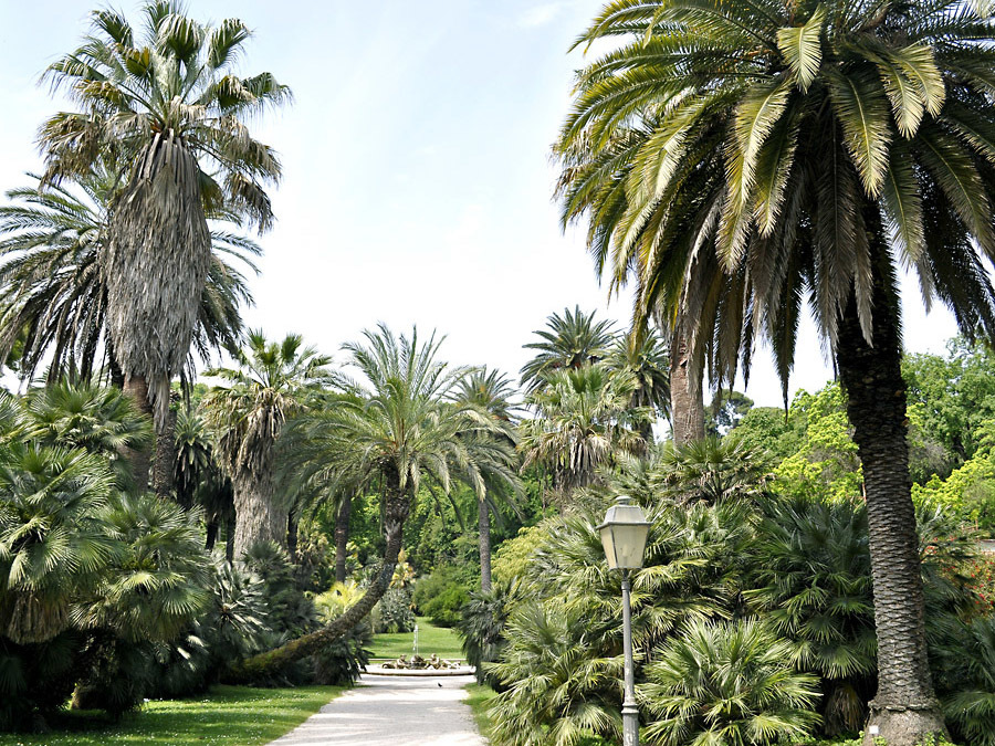Orto Botanico | Attractions in Rome