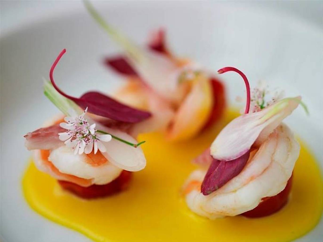 Restaurants | Paris restaurants and reviews | Time Out Paris